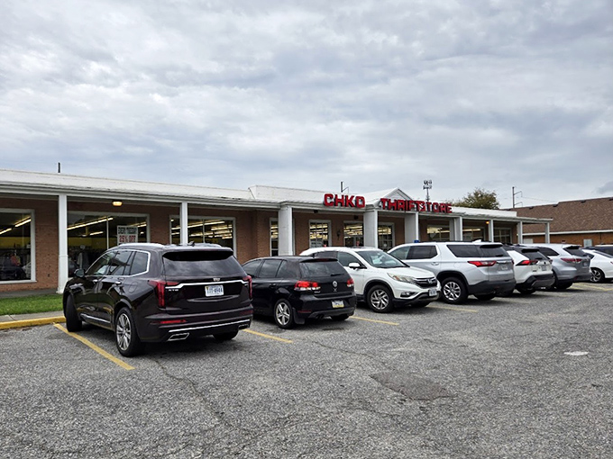 A full parking lot tells the true story – treasure hunters know where to find the good stuff. Virginia Beach's worst-kept secret draws shoppers from miles around.