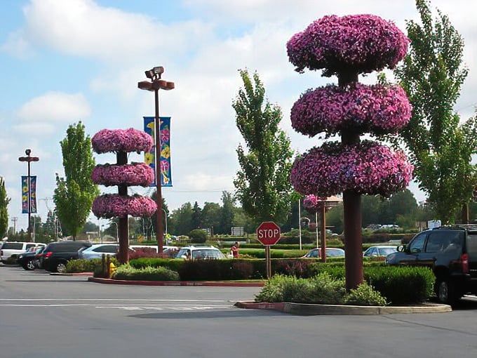 Those whimsical floral towers in the parking area aren't just pretty—they're landmarks for remembering where you parked after your shopping blackout.