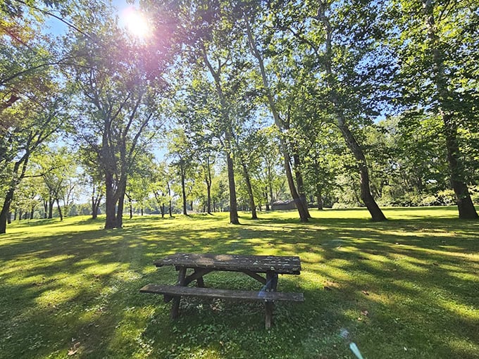 The loneliest picnic table in Pennsylvania waits for your sandwich and conversation. Prime real estate with a million-dollar view.