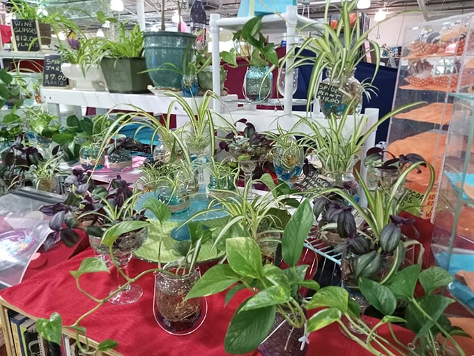 A jungle of houseplants offers the promise of bringing nature indoors, even during Michigan's most stubborn winters.