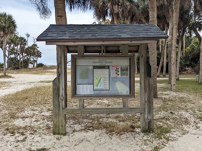 Trail maps: the original GPS system for explorers who prefer birdsong to "recalculating" announcements.