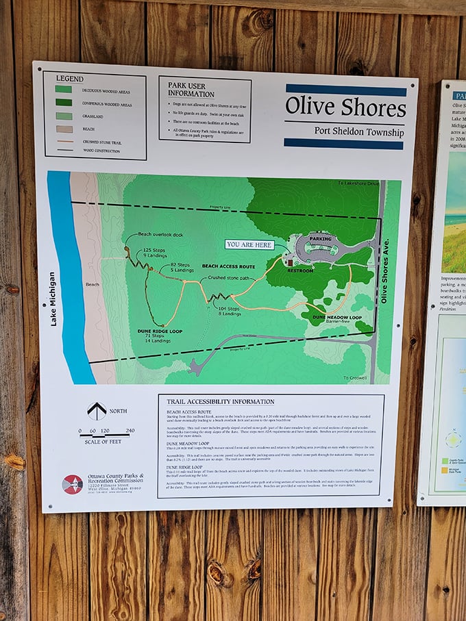 The treasure map to paradise. This unassuming guide reveals the secret paths through dunes and forest that lead to Lake Michigan's shores.
