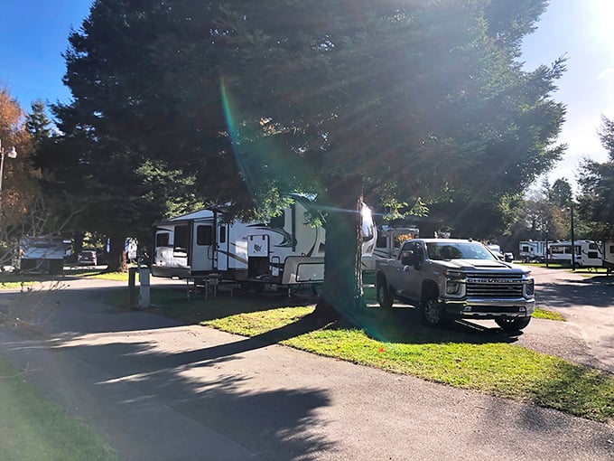 The RV park offers travelers a peaceful, tree-shaded respite with all the comforts of home and none of the mortgage.