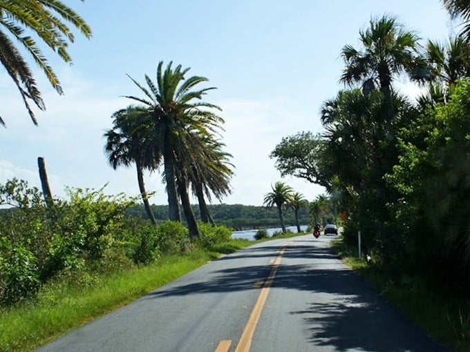 Waterfront driving at its finest, where every curve reveals another postcard-worthy vista of Old Florida's enduring beauty.