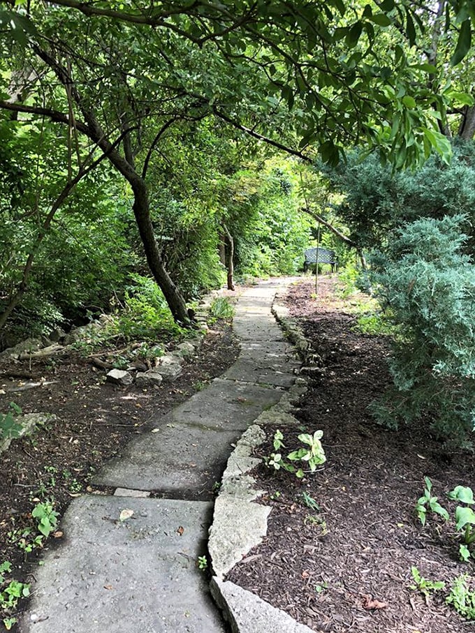 A shaded pathway that promises secrets around every bend. This isn't just a garden walk—it's the opening chapter of a botanical mystery.