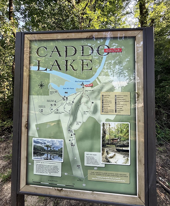 This map won't reroute when you lose signal—old-school navigation for adventures that deserve more than a digital assistant's voice.