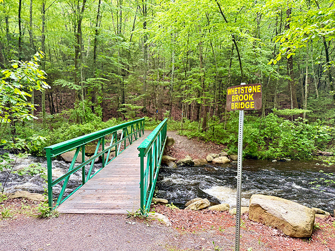 Whetstone Brook Bridge offers nature access without the entrance fees. The only membership required is a pair of comfortable walking shoes.