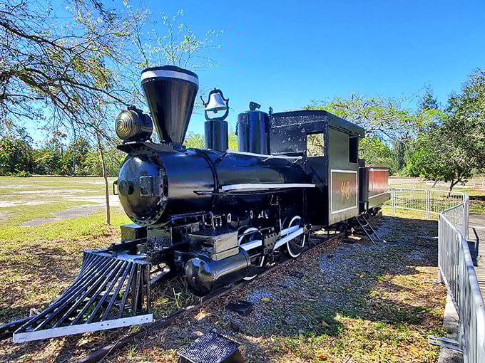 This beautifully maintained black steam locomotive gleams in the Florida sunshine, its polished surfaces reflecting both history and careful preservation.