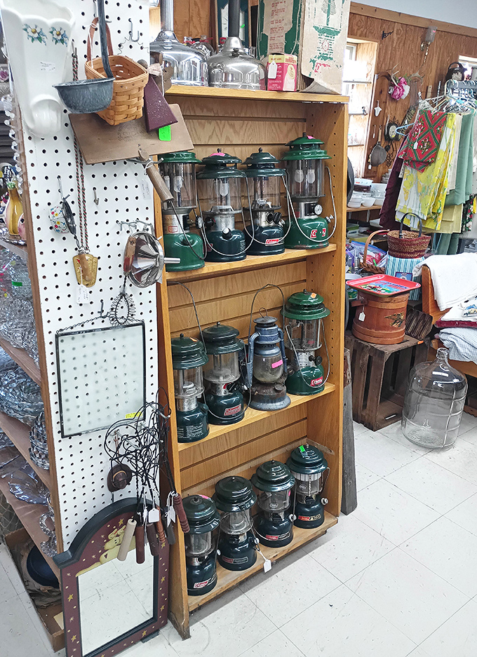 An army of Coleman lanterns stands ready to illuminate camping trips that exist only in memory – green soldiers of adventure from simpler times.