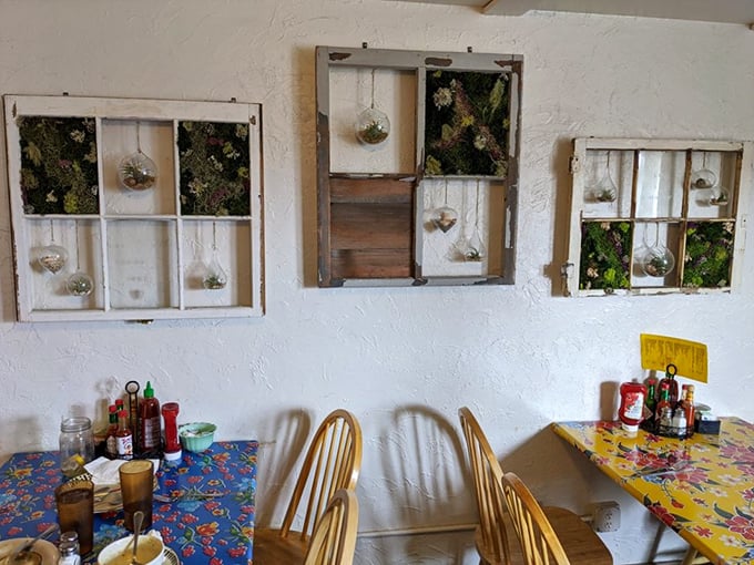 Whimsical wall art featuring repurposed windows and tiny terrariums—proof that creativity extends beyond just what's on your plate.