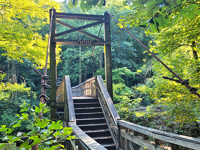 This rustic bridge isn't just functional—it's an invitation to adventure. Crossing it feels like stepping into the opening scene of your own outdoor epic.