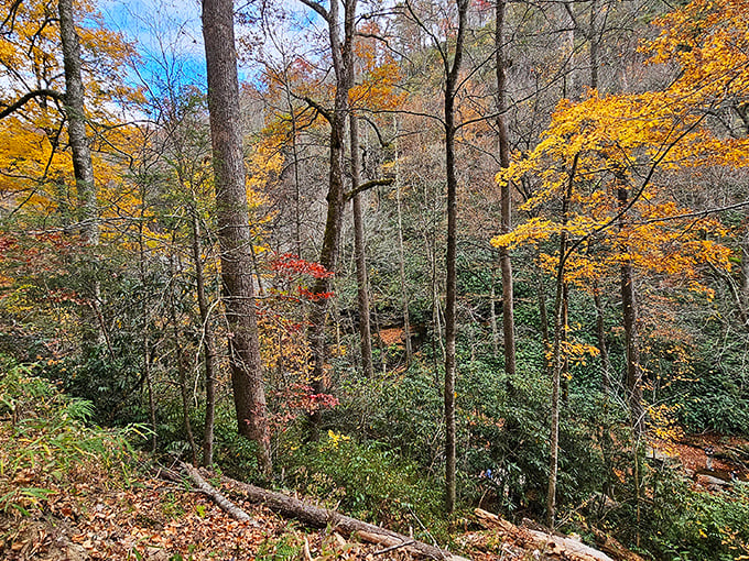 Fall foliage creates nature's perfect frame. When autumn arrives, the surrounding forest becomes a painter's palette of gold, crimson, and amber.