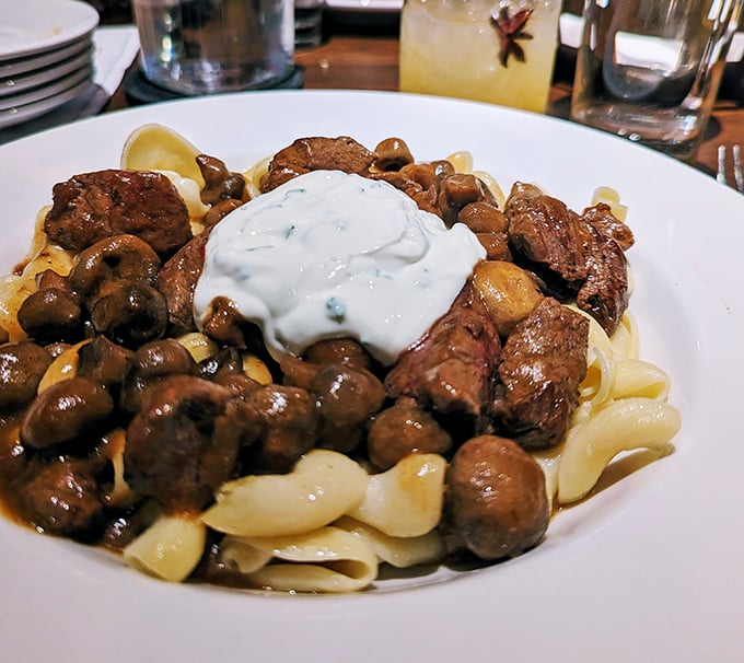 Beef stroganoff reimagined with tender chunks of steak and mushrooms over pasta, crowned with a dollop of herb-flecked cream – nostalgia elevated.