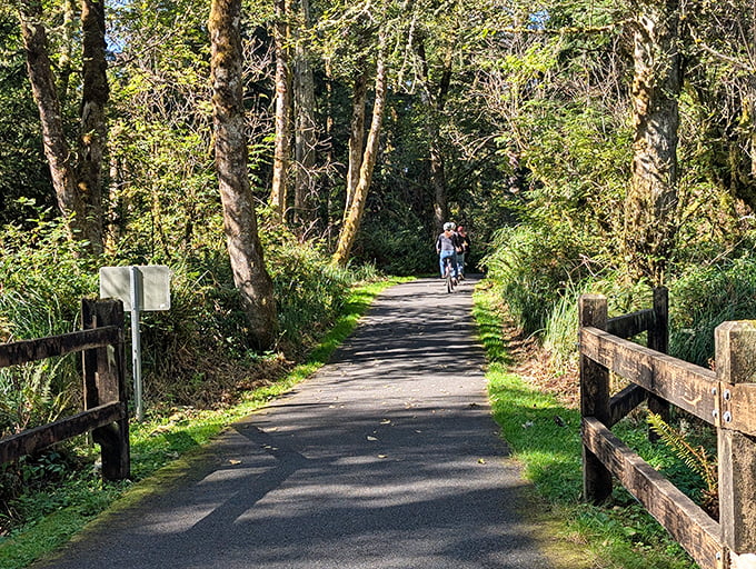 Cycling through sun-dappled forest trails – nature's version of a spa day where the treatment includes fresh air, birdsong, and the occasional wildlife sighting.