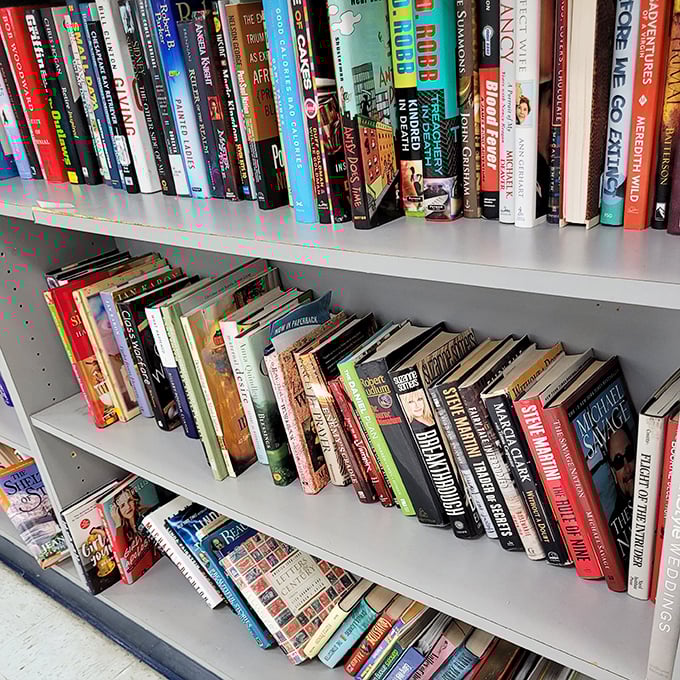 Literary treasures stacked spine-out, waiting for curious minds. From bestsellers to obscure gems, it's a library without late fees.