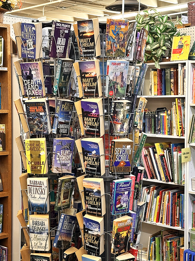 The bookworm's corner offers literary treasures organized with care—from bestselling thrillers to forgotten classics, each spine promising an escape to another world.