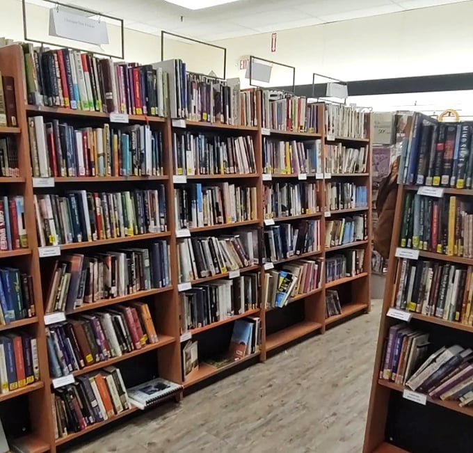 The book section: where literary adventures cost less than a coffee and carry you twice as far.