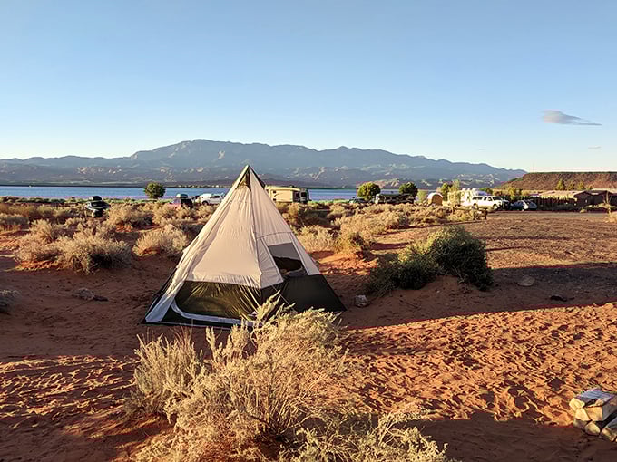 Desert camping with five-billion-star accommodations. That tent isn't just shelter—it's your private viewing portal to Utah's magnificent landscape.