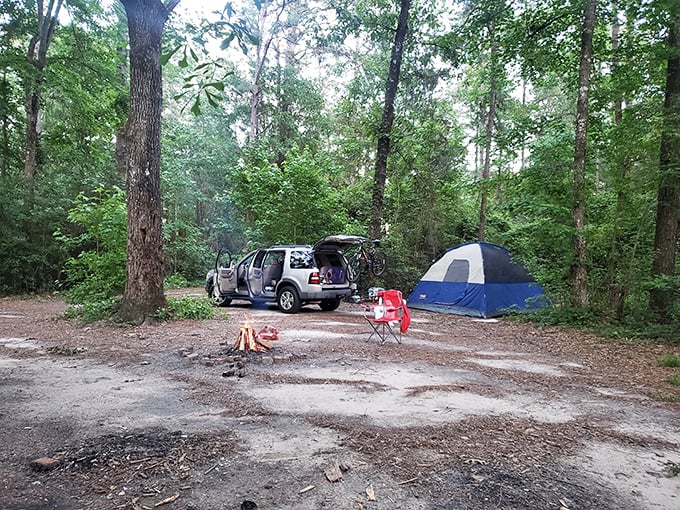 The primitive campsite—where "getting away from it all" literally means getting away from everything, including shower facilities and your social media addiction.