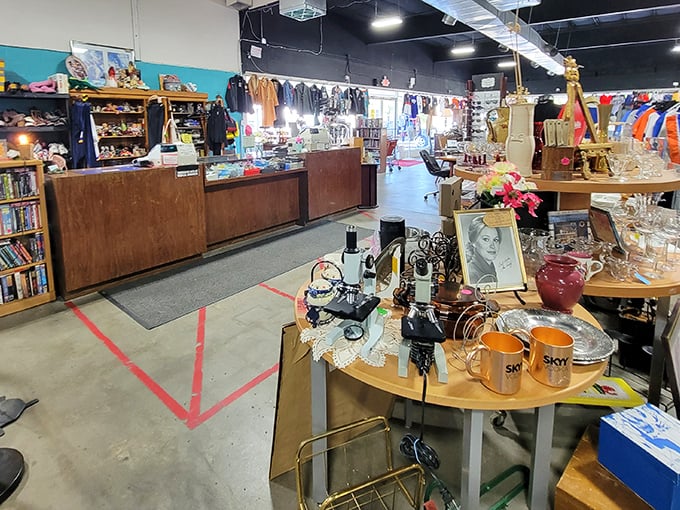Step inside Thriftology's wonderland, where vintage treasures await at every turn—your $20 will stretch further than you ever imagined.