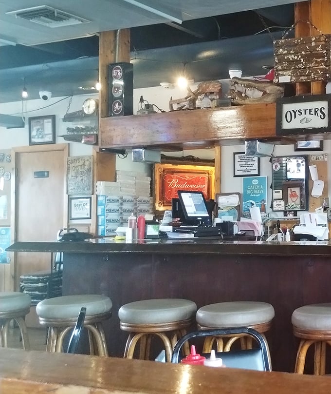 An alligator skull watches over the counter—a reminder that in Florida, the line between decor and dinner can be deliciously blurry.