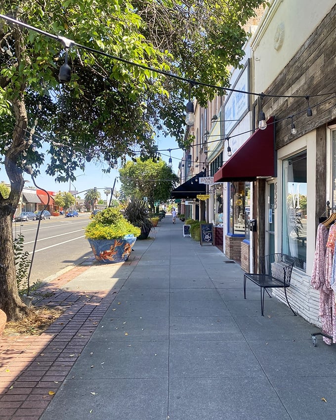 Local shops line streets where parking isn't a competitive sport and store owners might actually remember your name after your second visit.