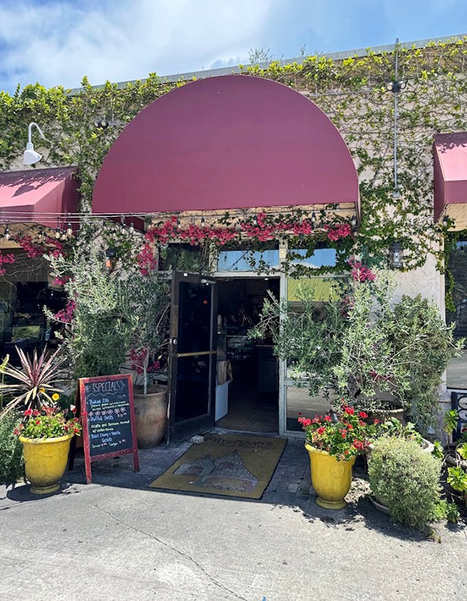 An entrance that transports you straight to the Mediterranean. Those potted plants aren't just decoration; they're your first taste of what's inside.