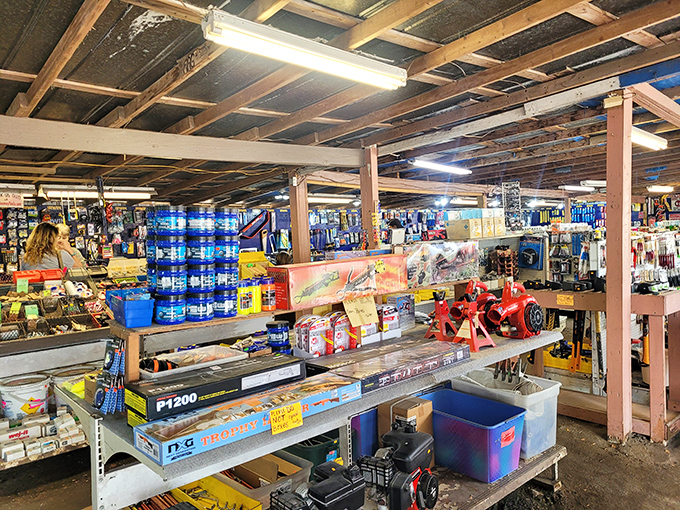 Hardware heaven under fluorescent lights. DIY dreams and project possibilities stretch as far as the eye can see.