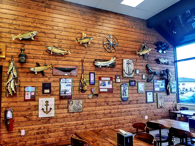 That wood-paneled wall isn't just decor—it's a maritime museum celebrating Lake Erie's bounty. Each mounted fish tells a story of local pride.