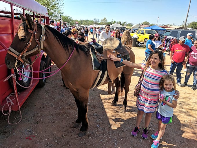 Making memories that outlast any purchase. These young visitors discover the joy of finding treasure—and meeting a horse—at Mary's Swap Meet.