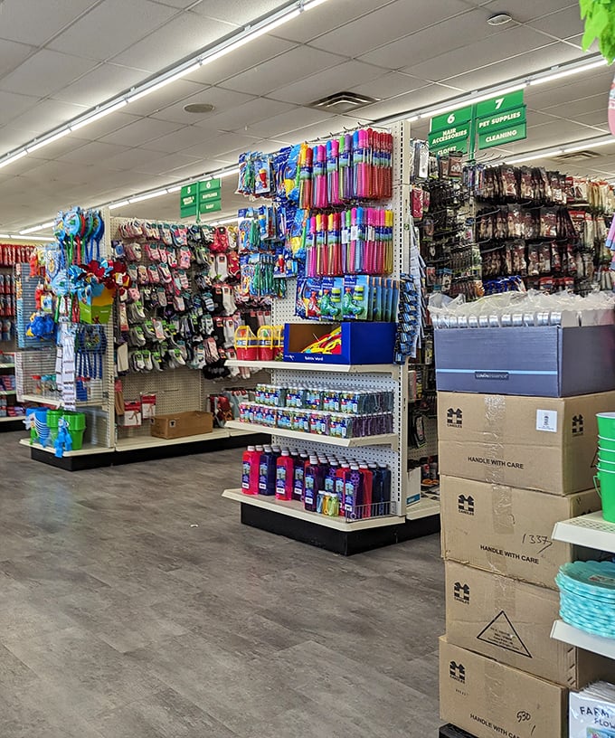Office and school supplies create a rainbow of organization possibilities – because color-coding your life shouldn't require a second mortgage.