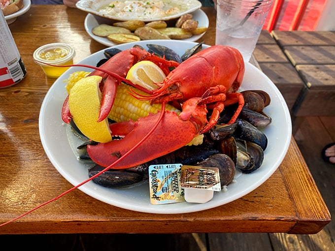 The seafood platter that makes you want to send a thank-you note to the ocean. A whole lobster surrounded by plump mussels – nature's perfect feast.