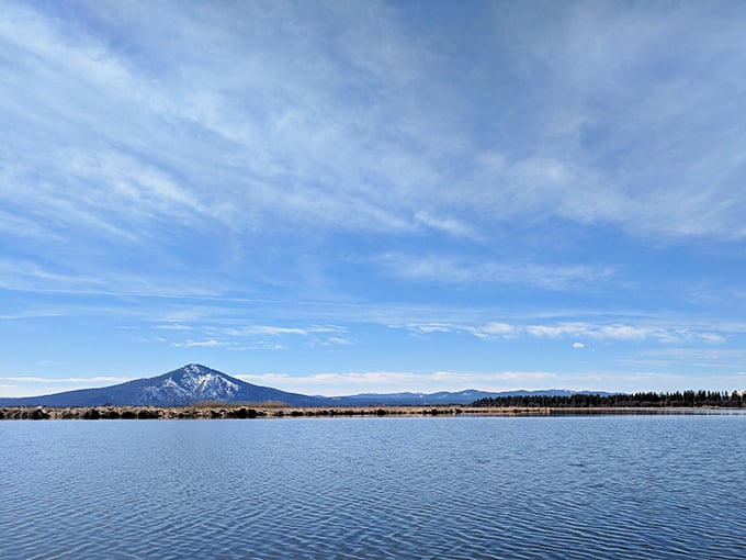 Mount Shasta stands sentinel over waters so still they seem polished, a postcard-perfect view that no filter could possibly improve.
