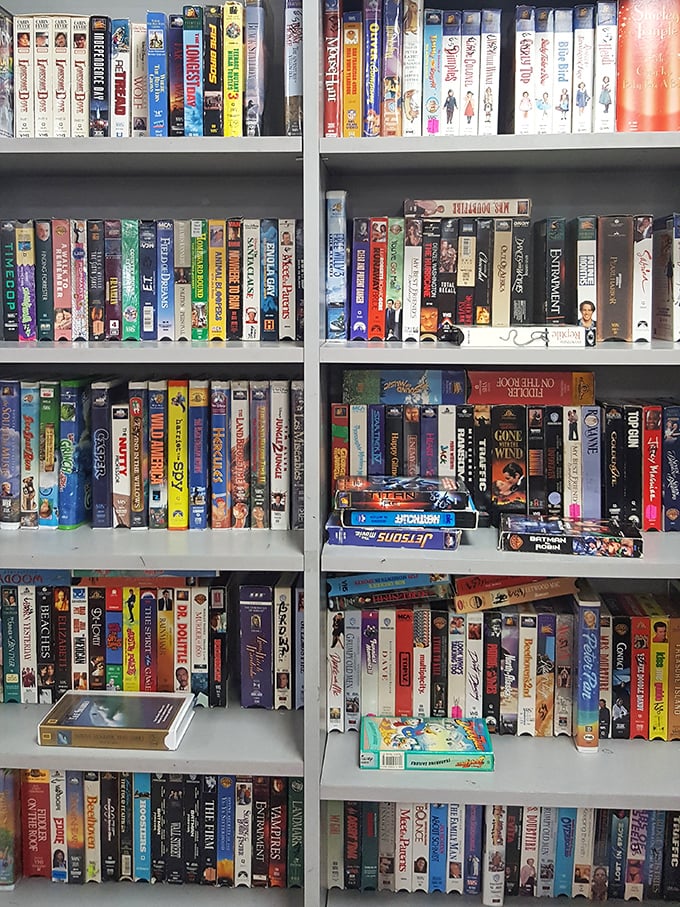 A video library that reads like a timeline of American entertainment—from "Gone With the Wind" to forgotten 90s sitcoms.