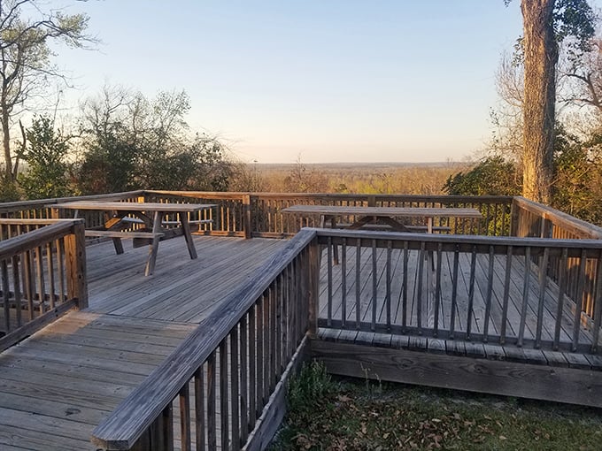 Nature's balcony with a view worth every step. This observation deck rewards hikers with panoramic vistas of the Apalachicola River valley.