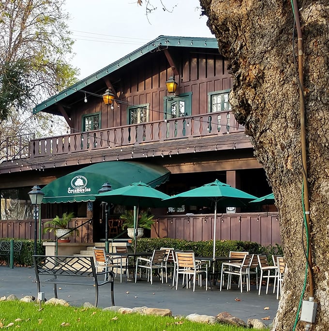 Al fresco dining under the watchful eye of that ancient sycamore—where fresh air somehow makes prime rib taste even better.