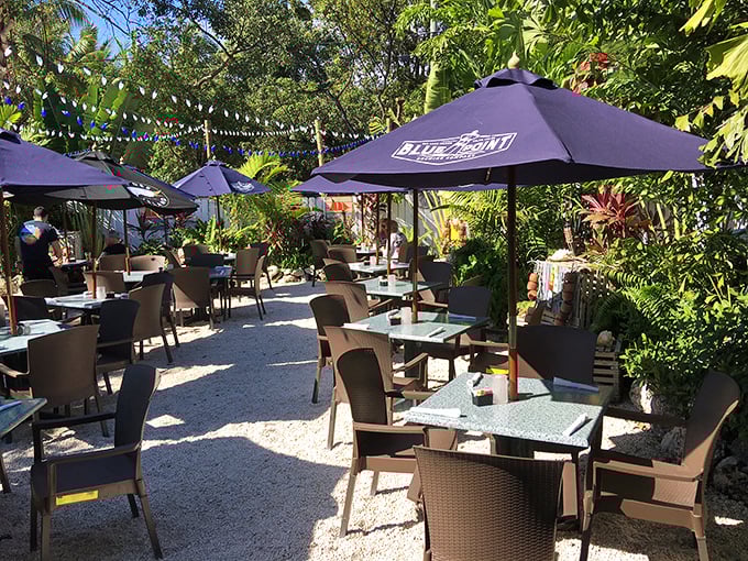 Outdoor dining surrounded by palms—because seafood tastes better with a side of paradise. Mother Nature's dining room!