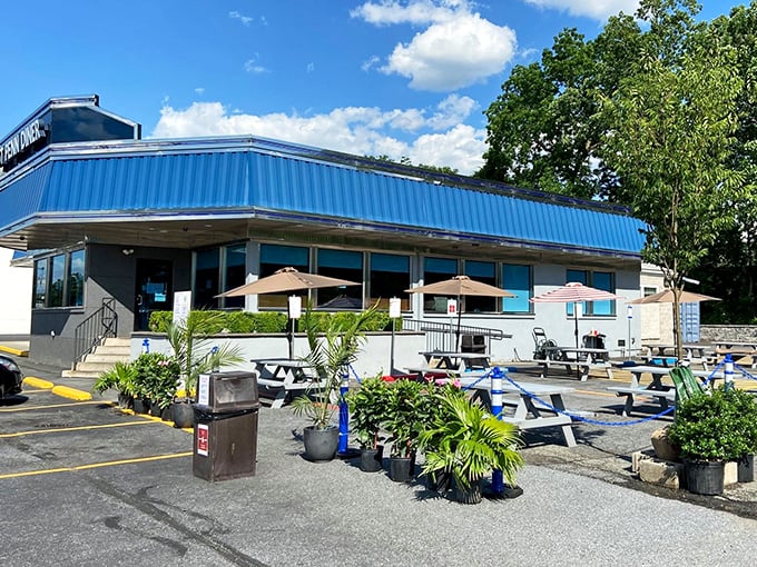 Summer dining al fresco – picnic tables and umbrellas offer a seasonal alternative to the indoor experience. Pennsylvania sunshine makes everything taste better.