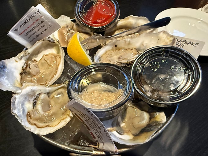 These oysters aren't just appetizers—they're briny little time machines to the ocean, served with classic accompaniments for those brave enough to slurp.