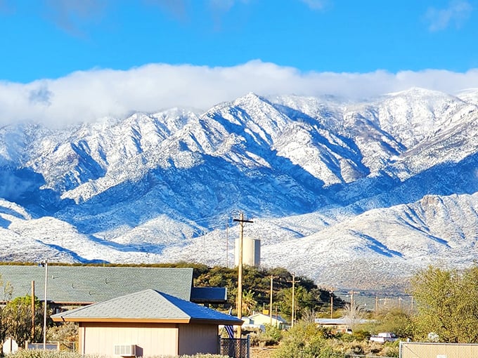 Snow-dusted mountains create a winter backdrop that few Arizona visitors expect – the desert's most beautiful contradiction.