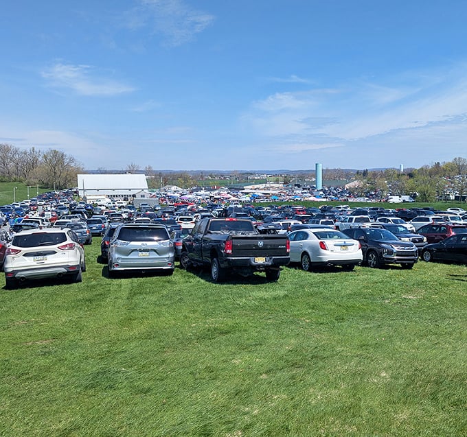 The parking lot on market day resembles a United Nations of license plates, proving good food and unique finds are universal diplomatic tools.