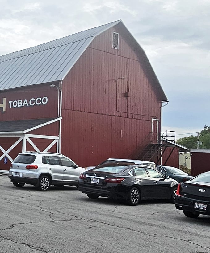 The barn's impressive silhouette dominates the parking area, a testament to the enduring appeal of structures built to shelter precious things—once grain, now hungry guests.