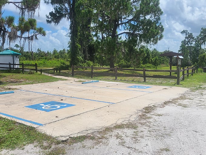 Accessible parking spaces surrounded by wilderness – civilization's modest footprint at the edge of ancient Florida ecosystems.