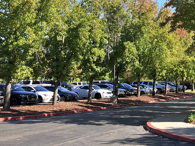 Shaded parking—nature's gift to hot California shoppers. These trees provide welcome relief for both cars and returning bargain-hunters.