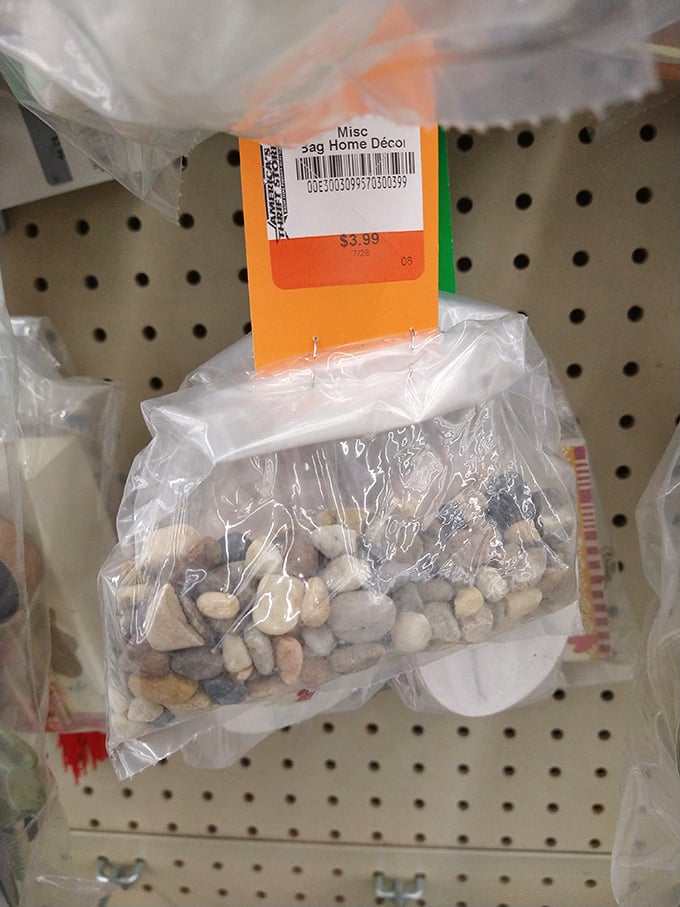 Even the smallest treasures get their moment—decorative pebbles for crafting or terrariums prove that thrift stores truly have everything under the sun.