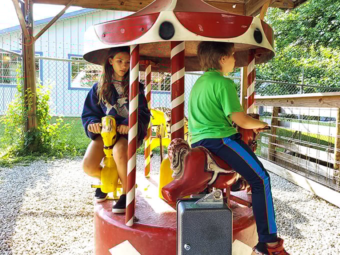 Childhood joy spins round and round on this vintage carousel. Some restaurants feed just your stomach; Olde Dutch nourishes the whole family experience.