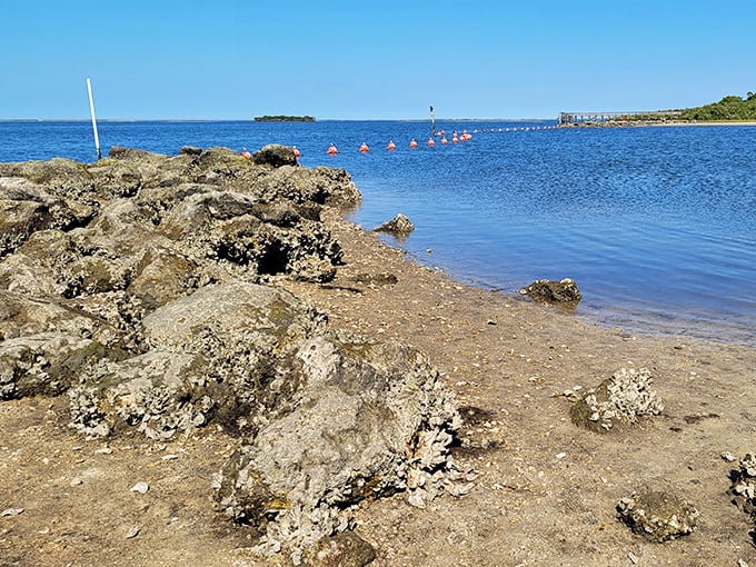 Nature's breakwater system looks rough around the edges, but that's precisely its charm—functional geology that creates perfect swimming coves.