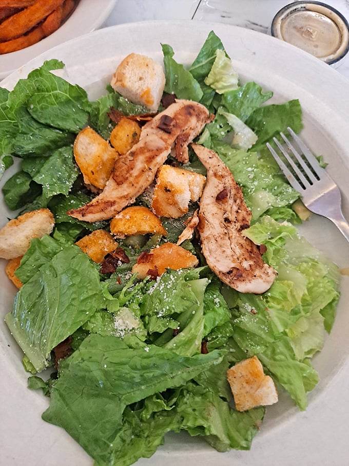 Even the salads mean business here—crisp greens playing host to grilled chicken and croutons that weren't born in a factory.