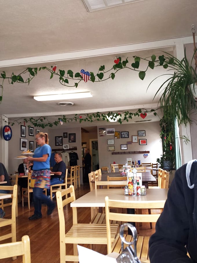 A dining room where patriotic vines meet homey comfort. The plants aren't just decoration – they're longtime residents watching over happy diners.