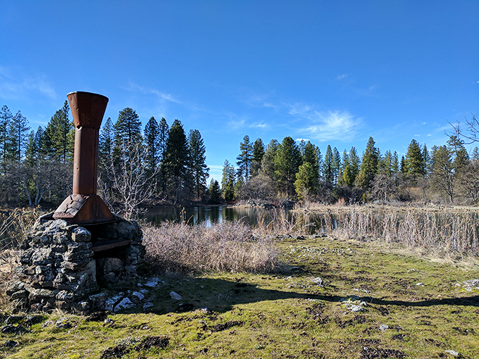 This rustic chimney stands as a reminder of human history amid nature's persistence – civilization's footprint slowly reclaimed by wilderness.